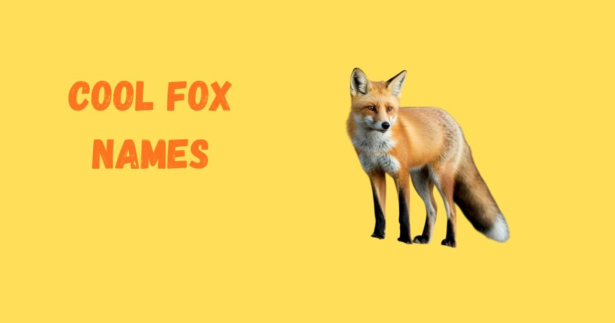 250+ Cool And Catchy Fox Names With Name Generator