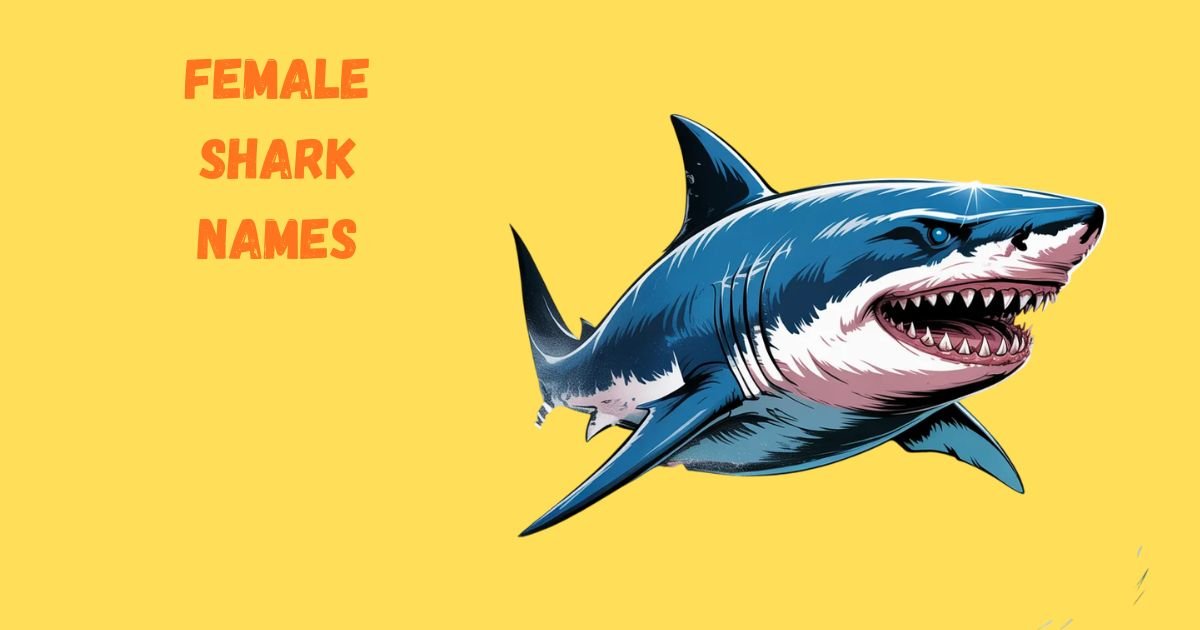 201+ Catchy and Badass Shark Names With Generator