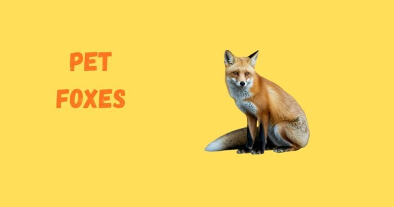 250+ Cool And Catchy Fox Names With Name Generator